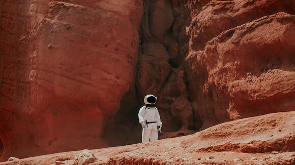 Could Life on Mars Have a Similar Ecology to Earth’s Wild Habitats ...