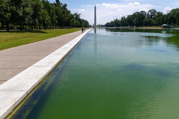 "MAGA" Has A New Meaning After Trump's Reflecting Pool Mishap, And It’s ...