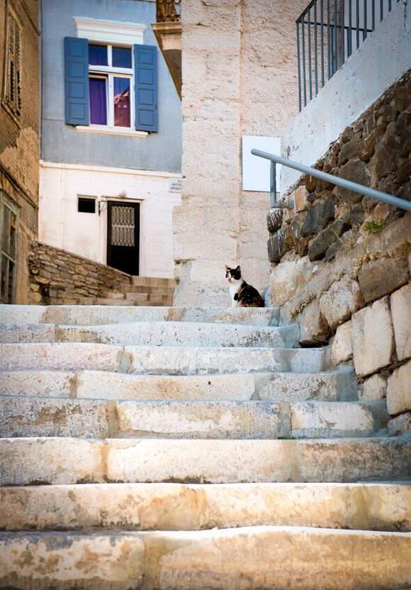 Greek island offers free accommodation in exchange for caring for ...
