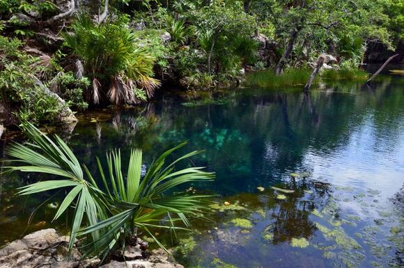 19 Snorkeling Spots in Mexico’s Hidden Cenotes - NewsBreak
