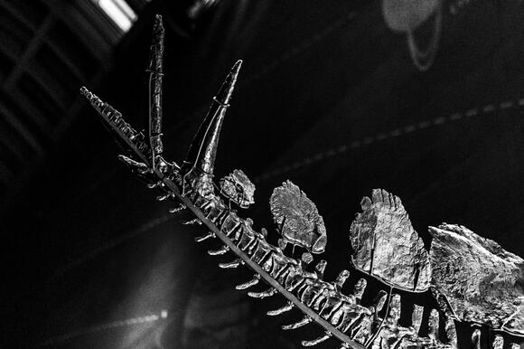 Chickenosaurus: Could Scientists Actually Reverse-Evolve a Dinosaur ...
