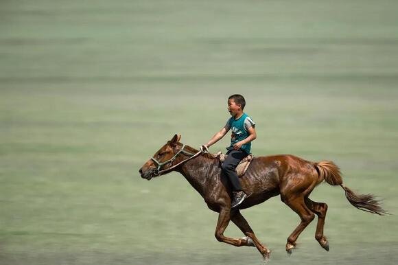 14 Things Riding Schools Quietly Stopped Teaching New Students ...