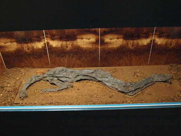 The Bog Bodies of Ireland: How Nature Perfectly Preserved Ancient ...
