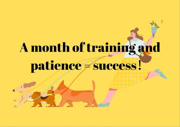 How I Finally Stopped My Puppy from Biting People During Walks?! 😱 ...