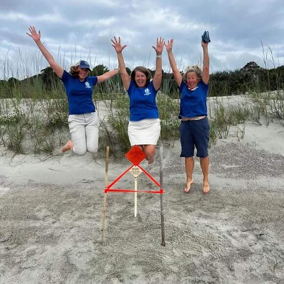 Sea turtles are nesting on Hilton Head again. Here's how you can help ...