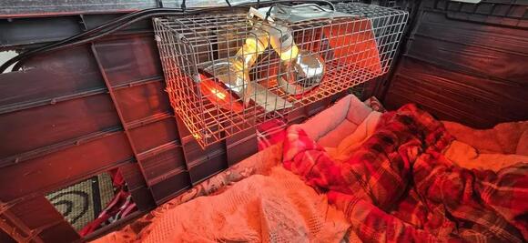 From 60s to Snow? Tracking the Major Cold Front Headed for Central ...