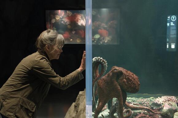 The Best New Movies and Shows on Netflix in May 2026 - NewsBreak