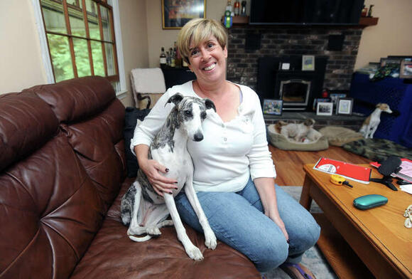 The life of a CT show dog: Satin dog beds, chiropractors, meticulous ...