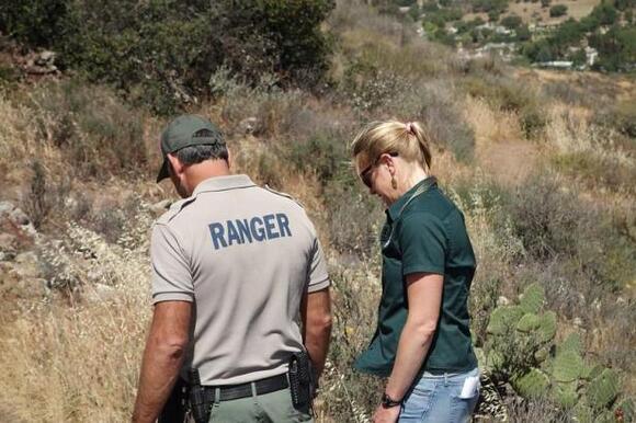 Sonoma County strips park rangers of peace officer status - NewsBreak