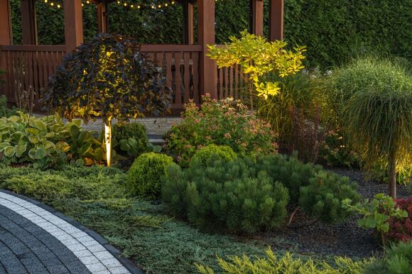 Landscaper Shows the Best Alternative to Mulch for a Perfectly ...