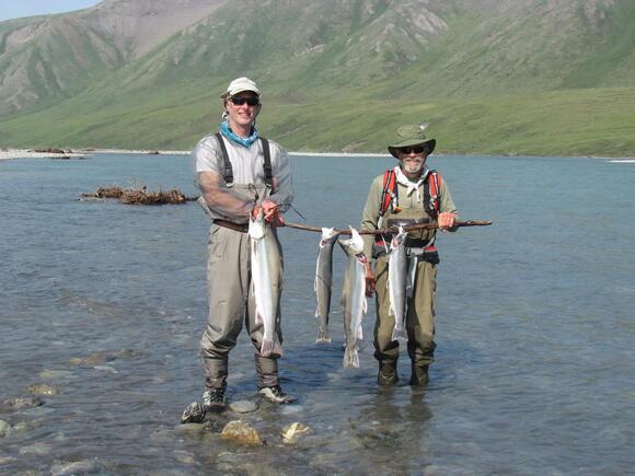 Mother moose kills Alaska dad, 70, attempting to take photos of her ...