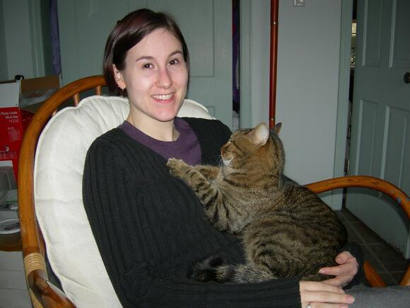 10 Spiritual Messages Cats Deliver Without Words - NewsBreak
