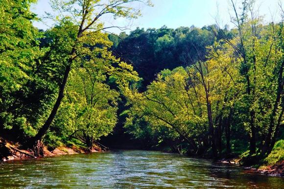 Grab Your Swim Gear and Head to 10 Kentucky State Parks With Free ...