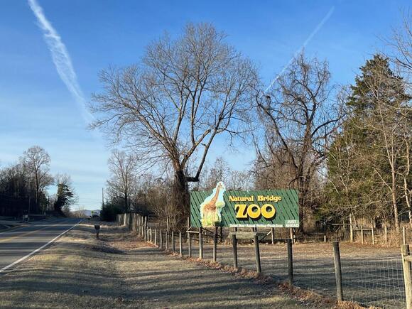 Arrests made, dozens of charges filed in Natural Bridge Zoo animal ...
