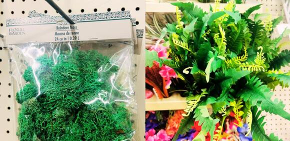 Naturemaxxing Is the Viral Trend That Beats Stress—and Dollar Tree Has ...