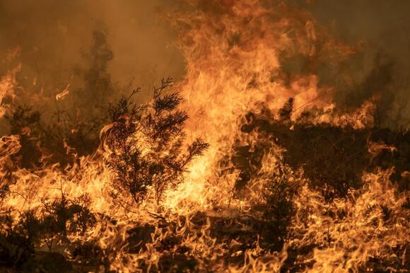 Selah Man Sentenced to 20 Years for String of Wildfires and Arson ...
