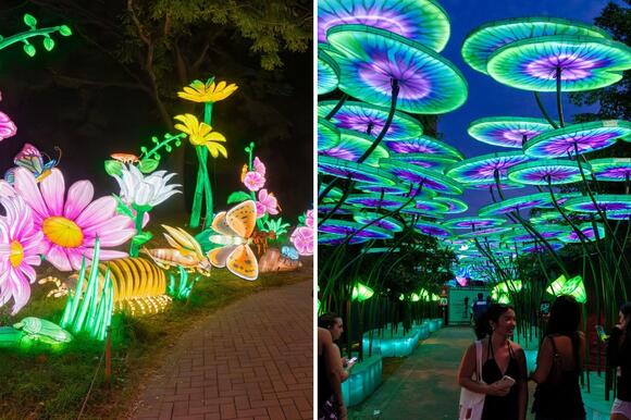 New 'Wanderlight Trail' Lights Up the Minnesota Zoo with Larger-Than ...