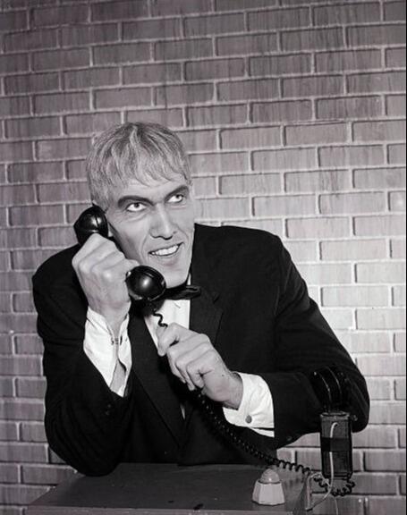 In Memory of 'Addams Family' TV Actor Ted Cassidy - Five Decades After ...