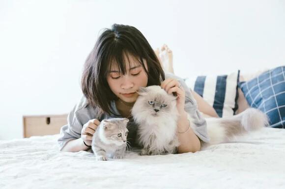 Cats Don’t Just ‘Hear’ You; They Process Your Every Word: The Feline ...