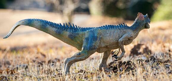 How Tall Was a T-Rex Compared to a School Bus - NewsBreak