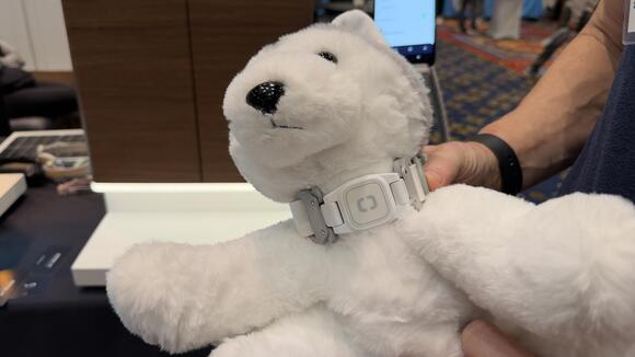 CES 2026: Pawport's Smart Dog Door Launched With One Big Upgrade ...
