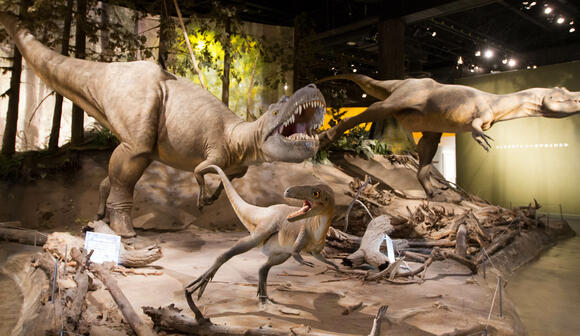 How Continental Drift Split Dinosaur Species Apart - NewsBreak