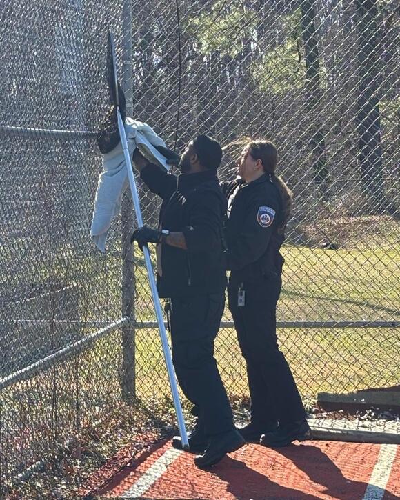 Look: Trapped hawk rescued from batting cage in Virginia park - NewsBreak