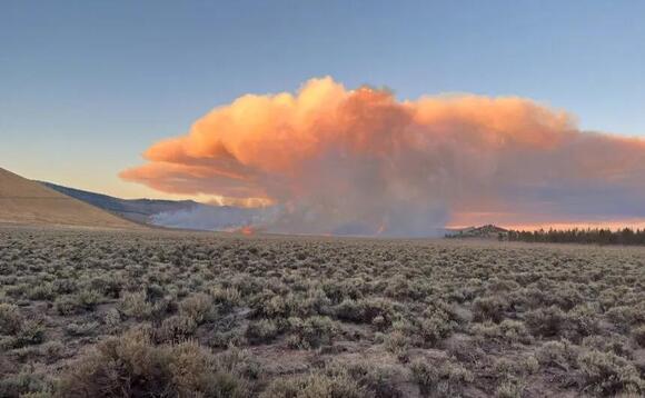 Crews reach 50% containment on 6,500-acre Pine Fire at Pine Mountain ...