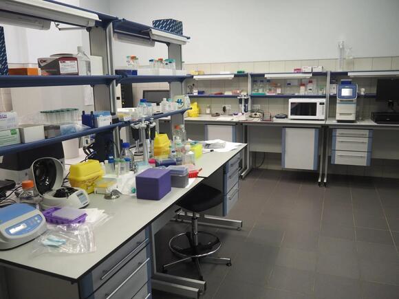 Dr. G. N. Ramachandran: His Discoveries in Structural Biology and ...