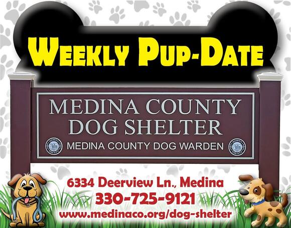 Medina County Dog Shelter weekly adoption update - NewsBreak