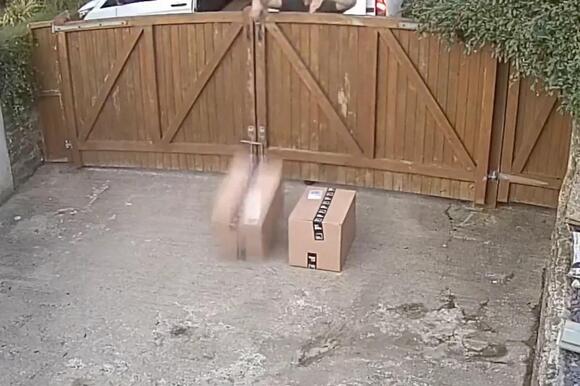 Delivery driver caught ignoring door, throwing fragile packages in ...