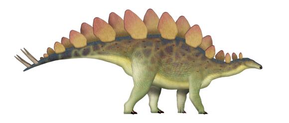 Yanbeilong Ultimus: China’s Late-Surviving Stegosaur Kin to Stegosaurus ...