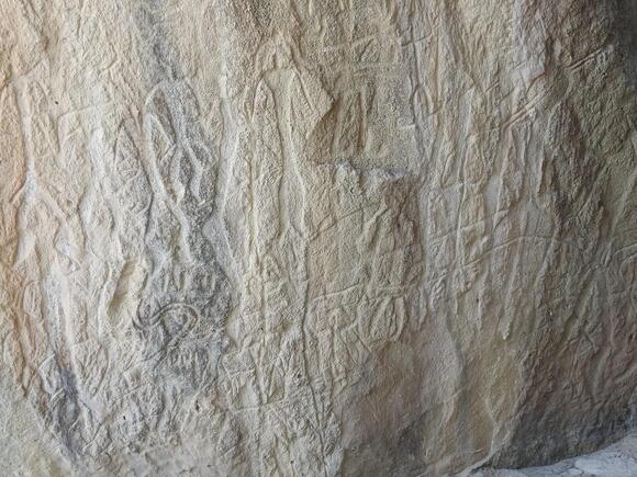 The Forgotten Caves Beneath Napier: Erosion, Earthquakes, and Fossil ...