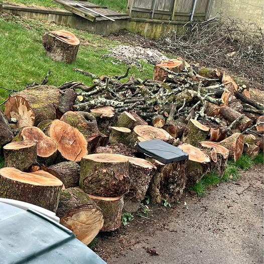 🎁 Freebies Up for Grabs in Brockton Right Now - NewsBreak