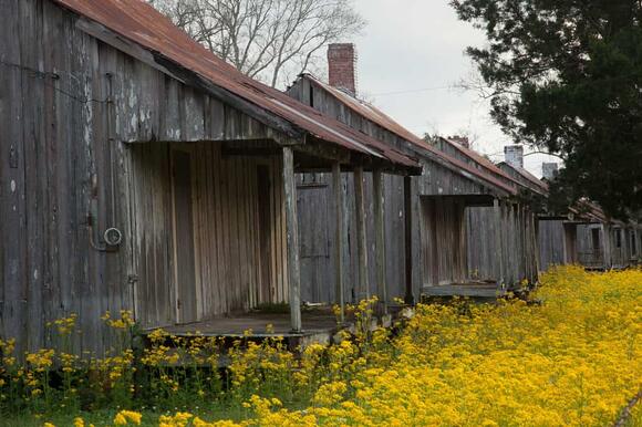 Discover the 18 Largest Plantations in South Carolina - NewsBreak
