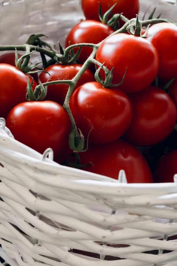 The Tomato Trap: Why Fresh Produce Prices Are Rising as Import Costs ...