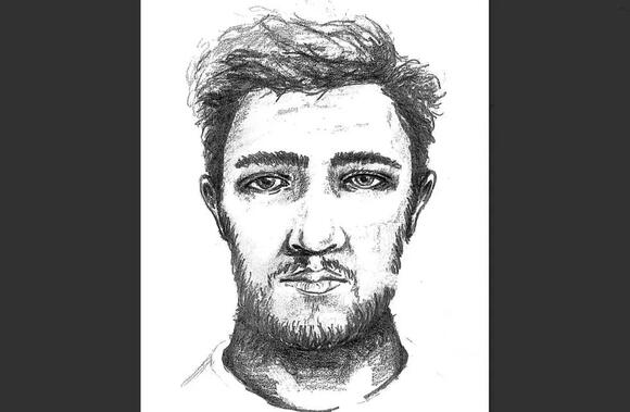 Farmington Hills Police release sketch of person of interest in ...