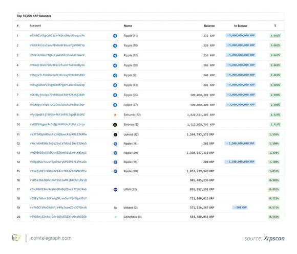 Who owns the most XRP in 2025? The rich list revealed - NewsBreak
