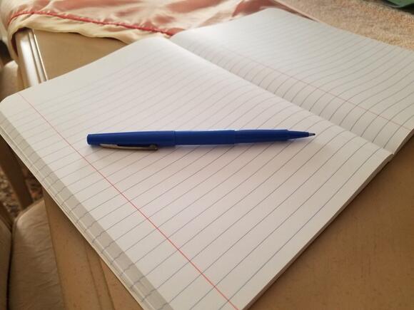 We Can Thank Rodents For Why Notebooks Have Margins - NewsBreak