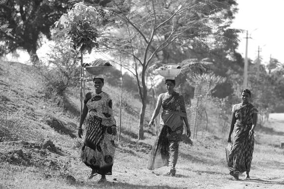 The Role of Indigenous Knowledge in Modern Wildlife Conservation ...