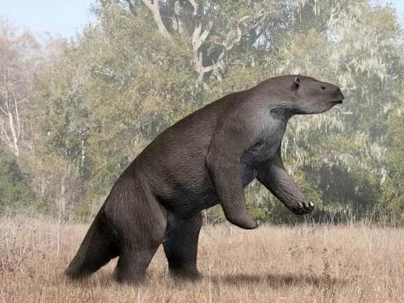 The Enigmatic Megafauna: Giants That Roamed Prehistoric American ...