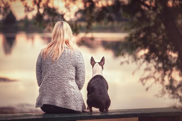 The Most Compatible Zodiac Pairings Between Dogs and Their Humans ...