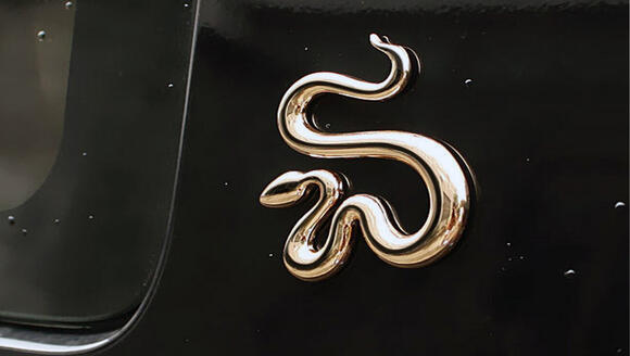 Why So Many Americans Put Snake Decals on Their Cars - NewsBreak