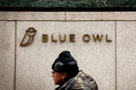 Investment fund questions valuations in Blue Owl's private credit ...