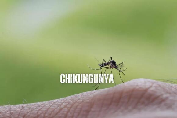 Fungal Superbug Targets Louisiana - What You Should Know - NewsBreak