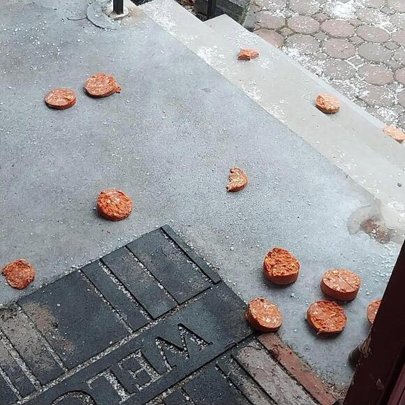 Pepperoni tossed at NJ woman’s home, car in bizarre vandalism case: ‘As ...