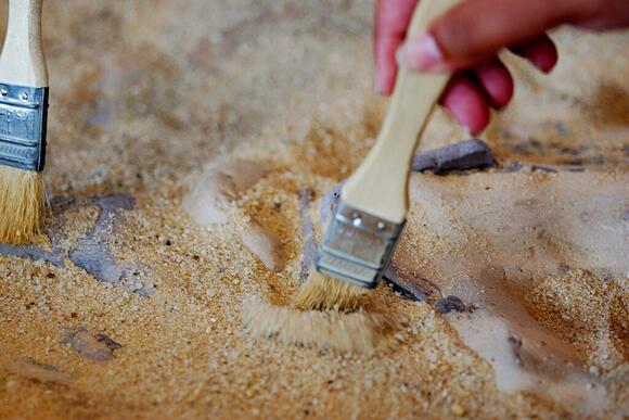 What Tools Do Paleontologists Use in the Field? - NewsBreak