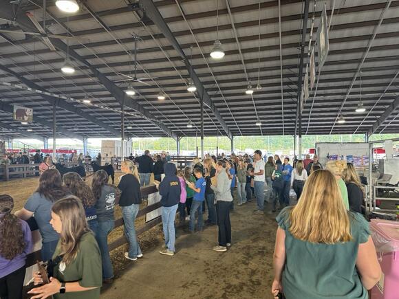 Owego FFA Students Shine in Statewide Livestock Contest - NewsBreak