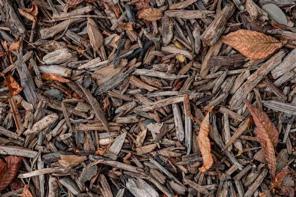 How to Build a Nutrient-Rich Compost Pile Using Only Free Yard Waste ...