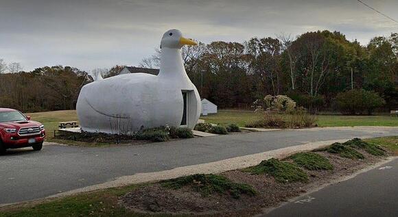 Deadly Virus Spreading Throughout New York This Winter - NewsBreak